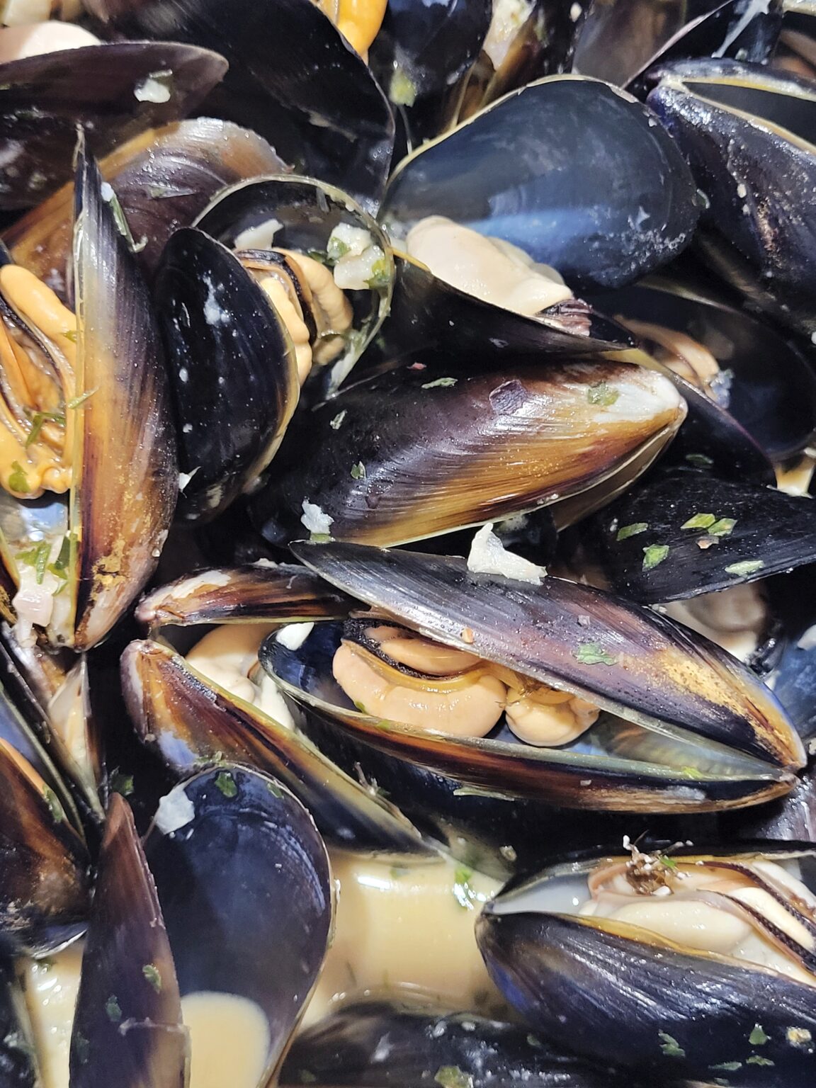 Mussels in Creamy White Wine Sauce - therumblytummy.com