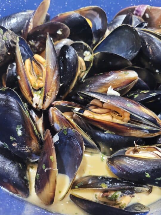 Mussels in Creamy White Wine Sauce - therumblytummy.com